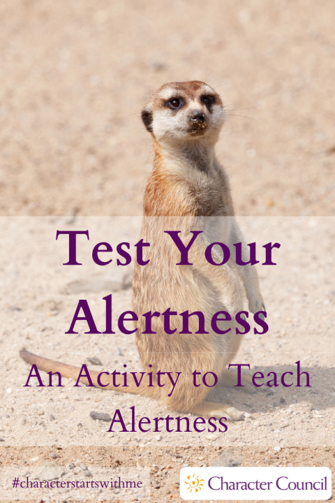 Alertness Activities - Character Council