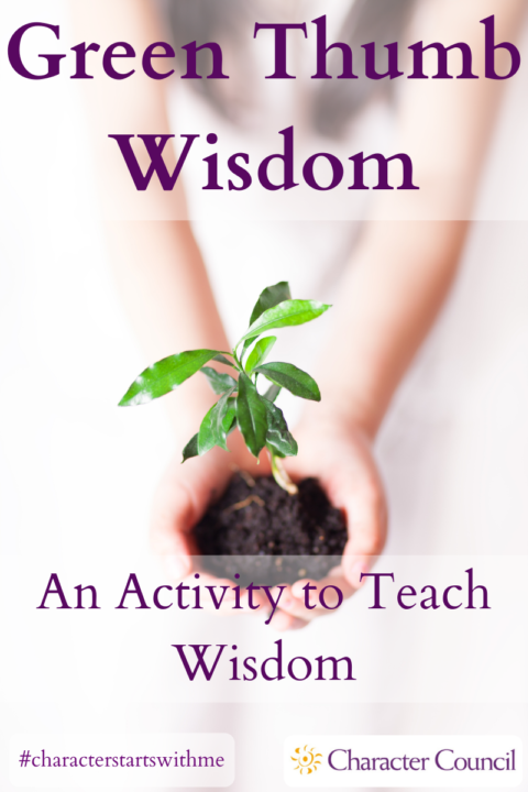 Wisdom Activities - Character Council