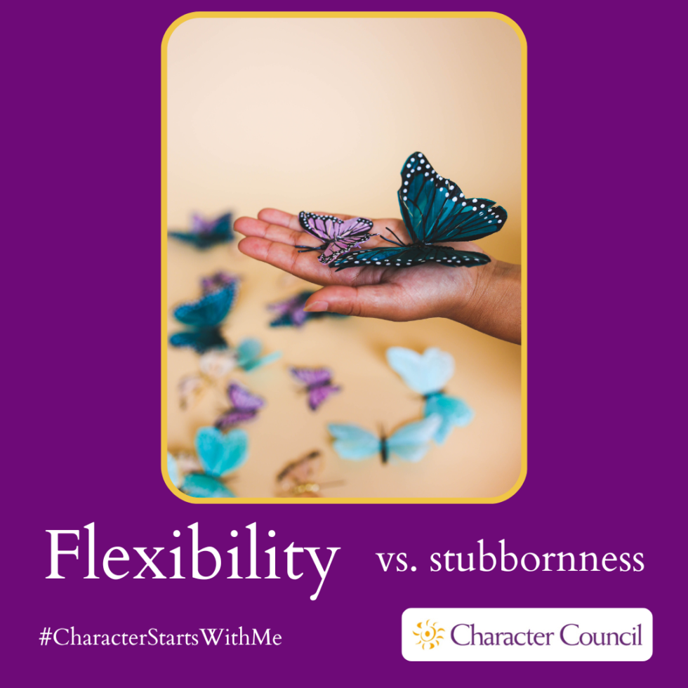 Flexibility - Character Council