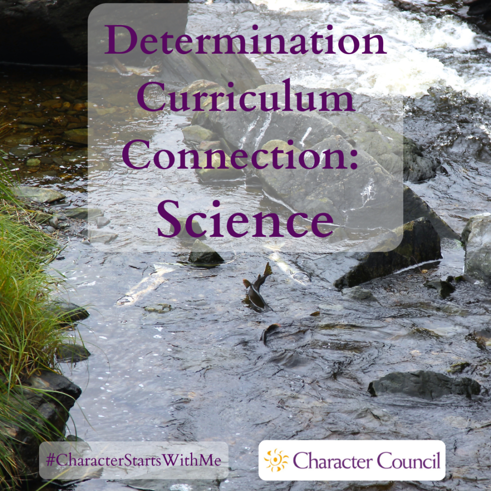 Determination Curriculum Connection - Science - Character Council