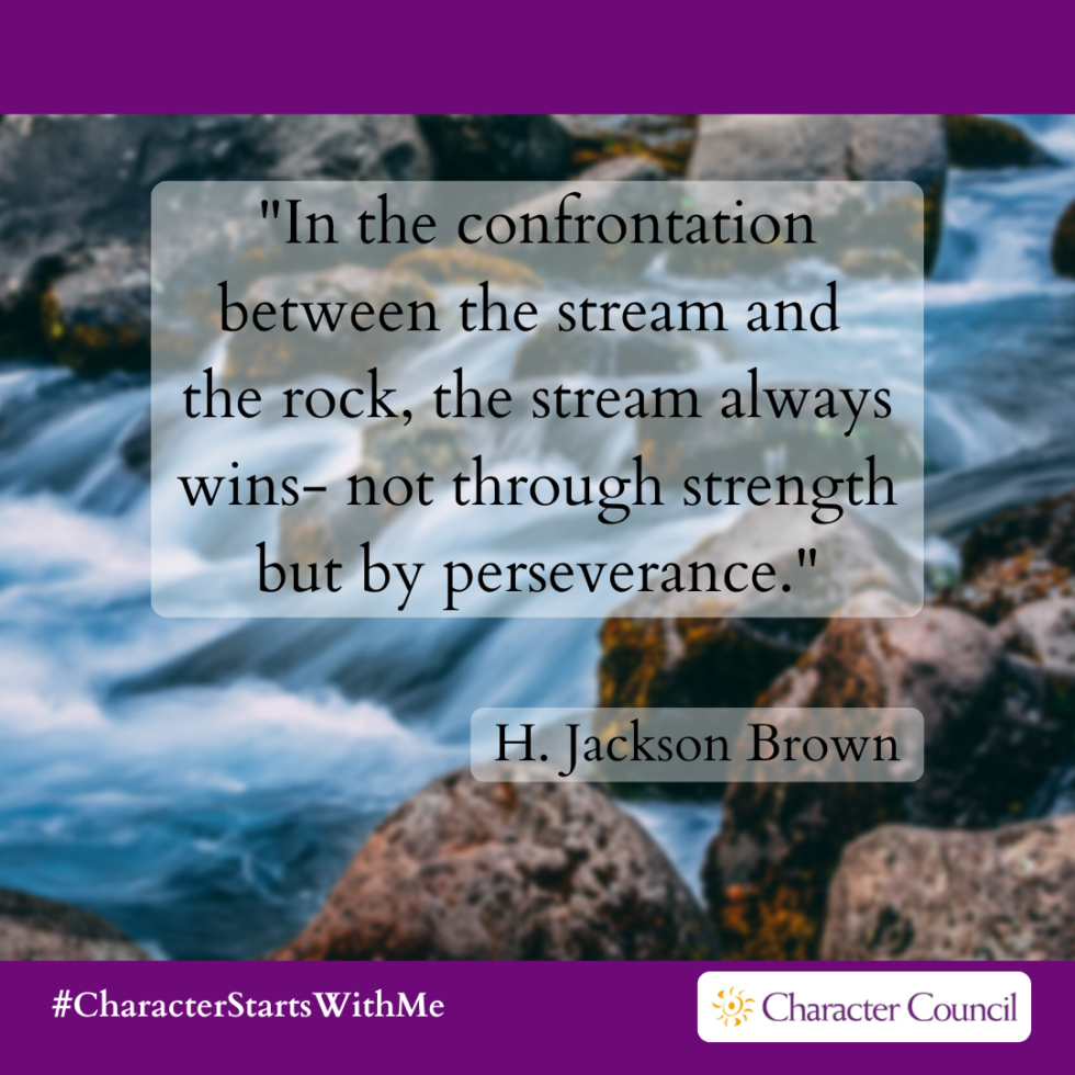 Determination - Character Council